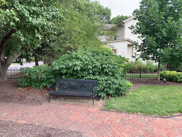 Westerville Symphony Grove at Ben Hanby Park - Peter Wilson